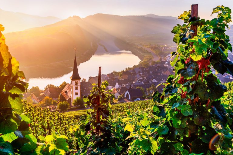 Flodkryssning på Mosel och Rhen | Boka resan hos oss