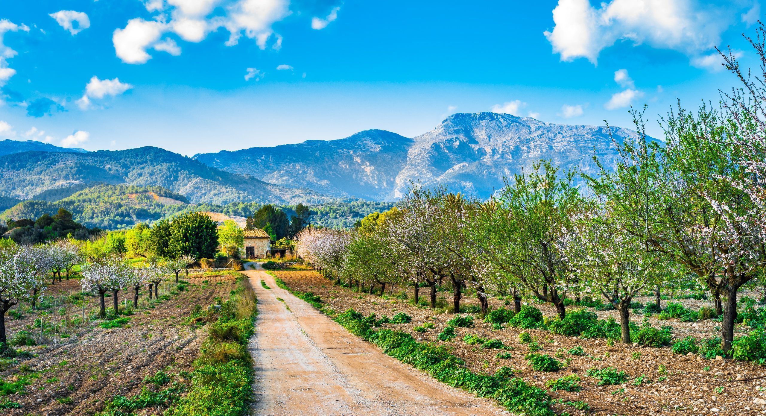 Spanien - Grand Tours