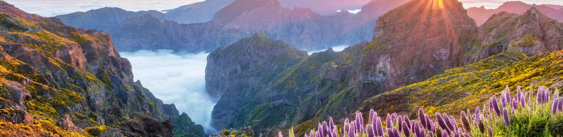 Christel Vieira - Grand Tours