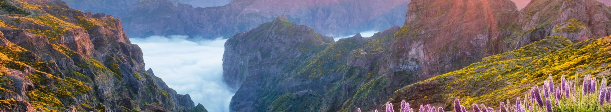 Christel Vieira - Grand Tours